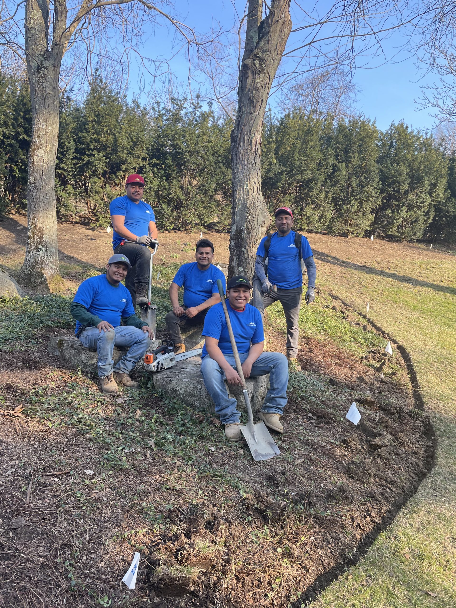 Home | Junior Landscape Services
